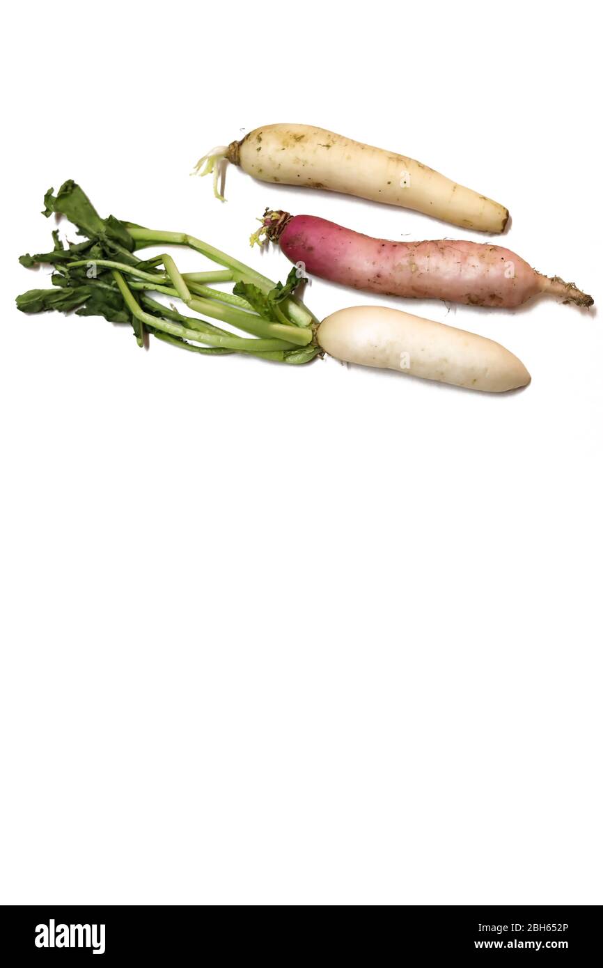 Different types of radish are isolated on a white background Stock ...