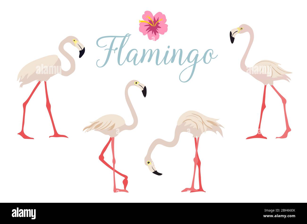 Cartoon pink flamingo vector set Cute flamingos collection Flamingo ...