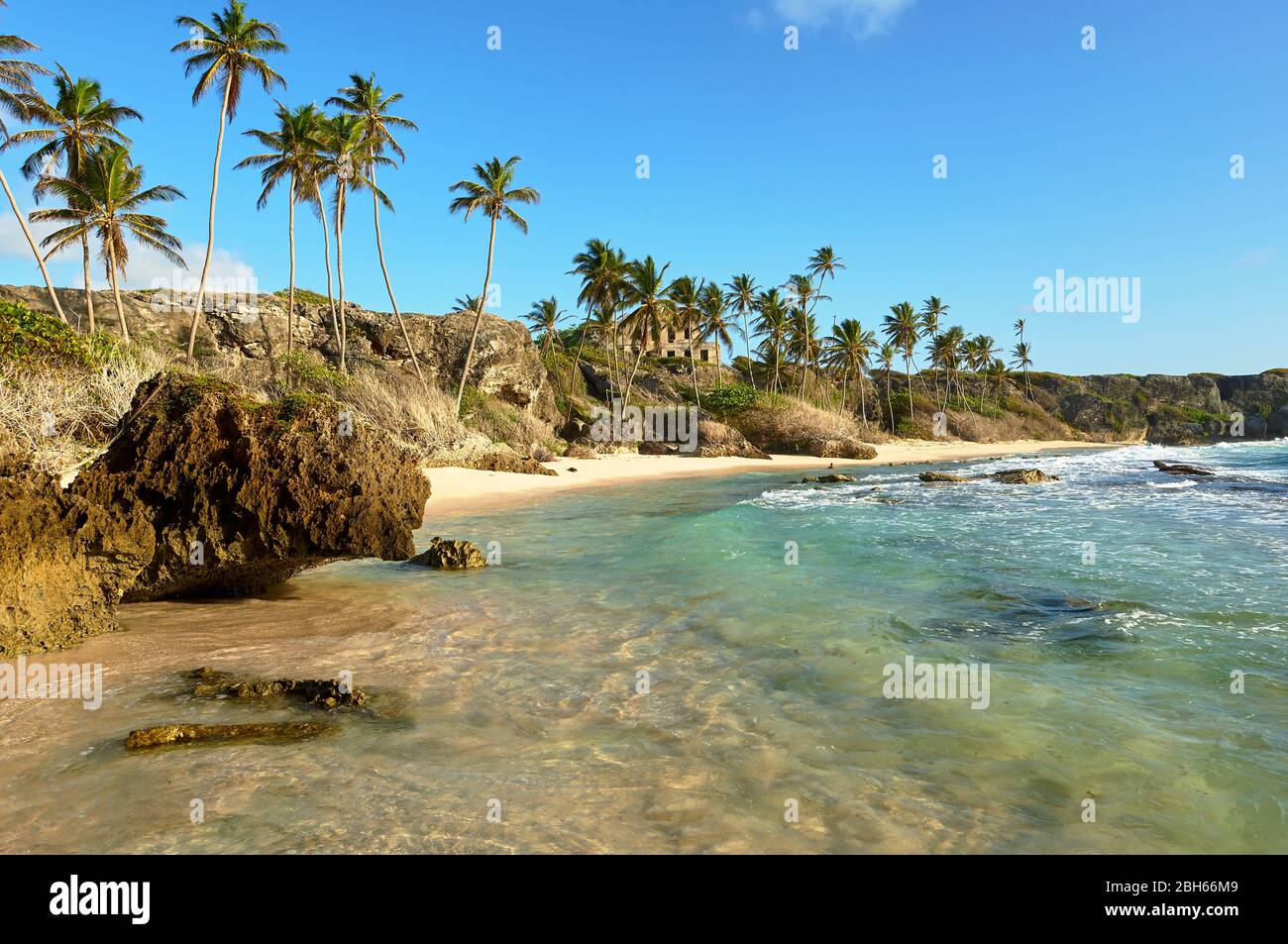 Harrismith barbados hi-res stock photography and images - Alamy