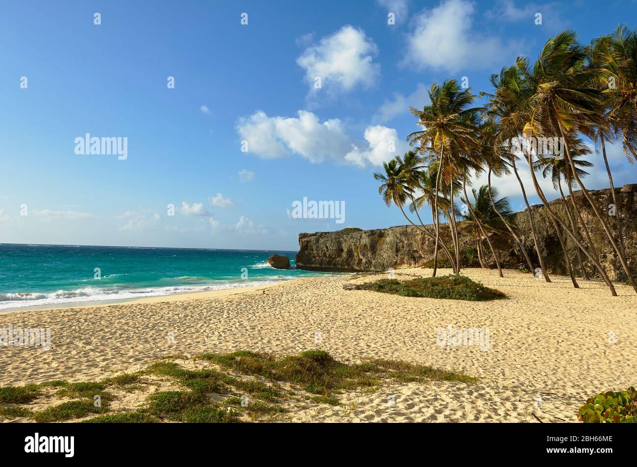 Barbados islands sandy paradise hi-res stock photography and images - Alamy