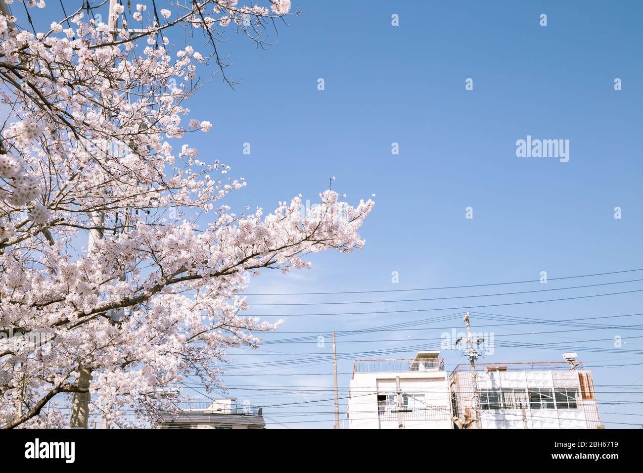 Ise city hi-res stock photography and images - Alamy
