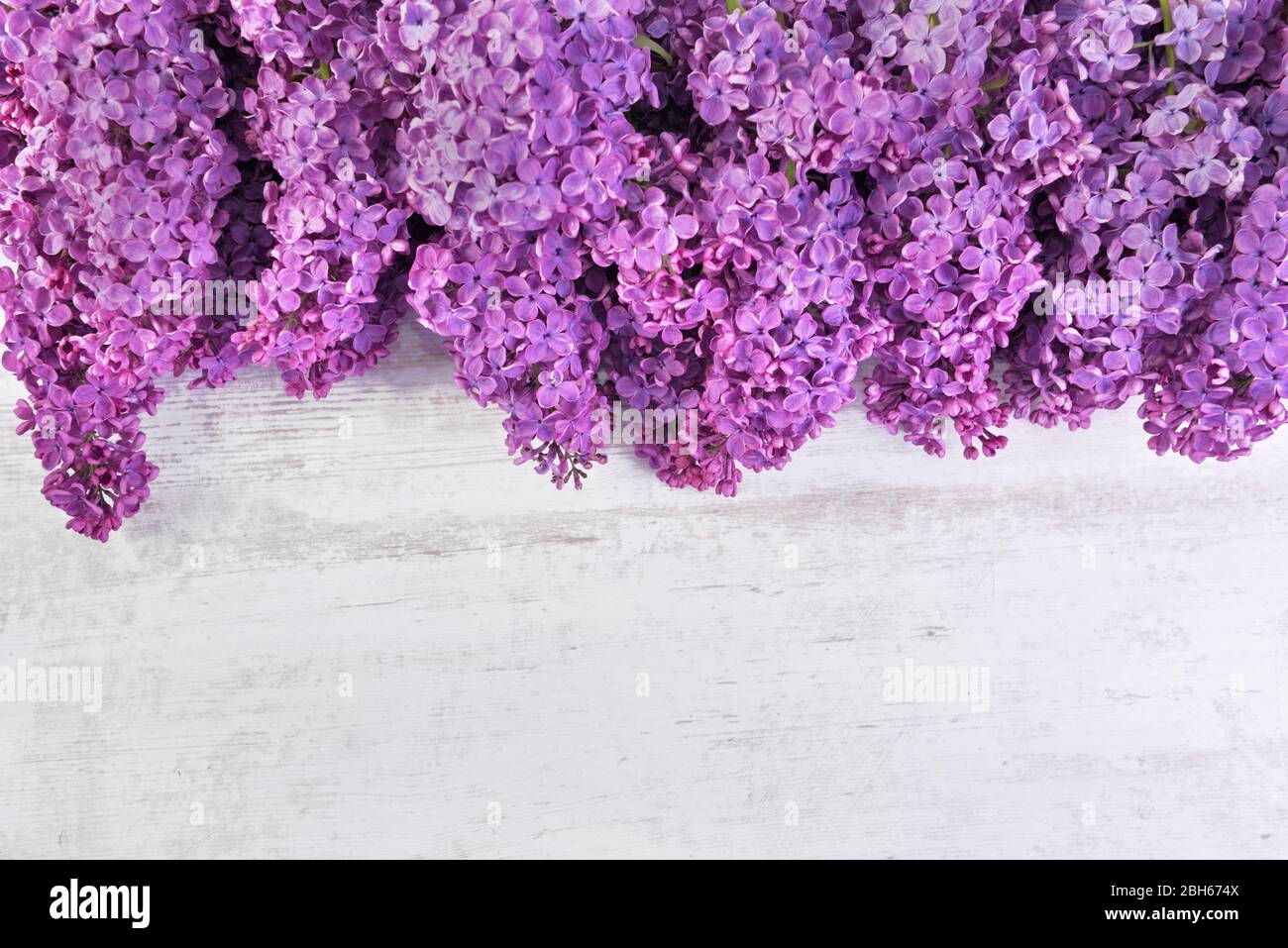 top view on purple lilac flower arrangement on white table with copy ...
