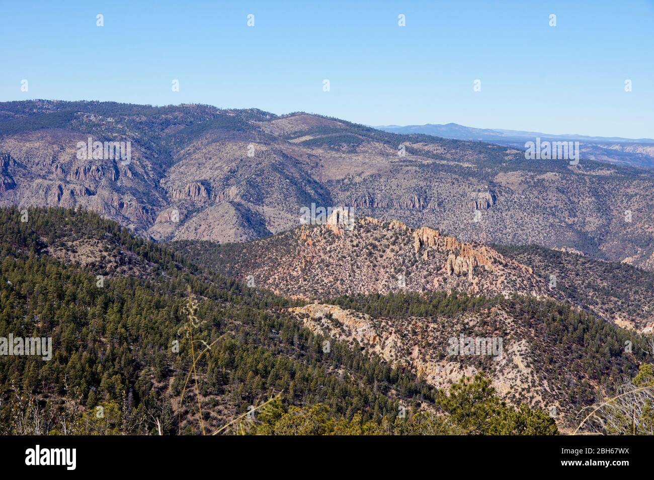 Gila National Forest in New Mexico Stock Photo - Alamy