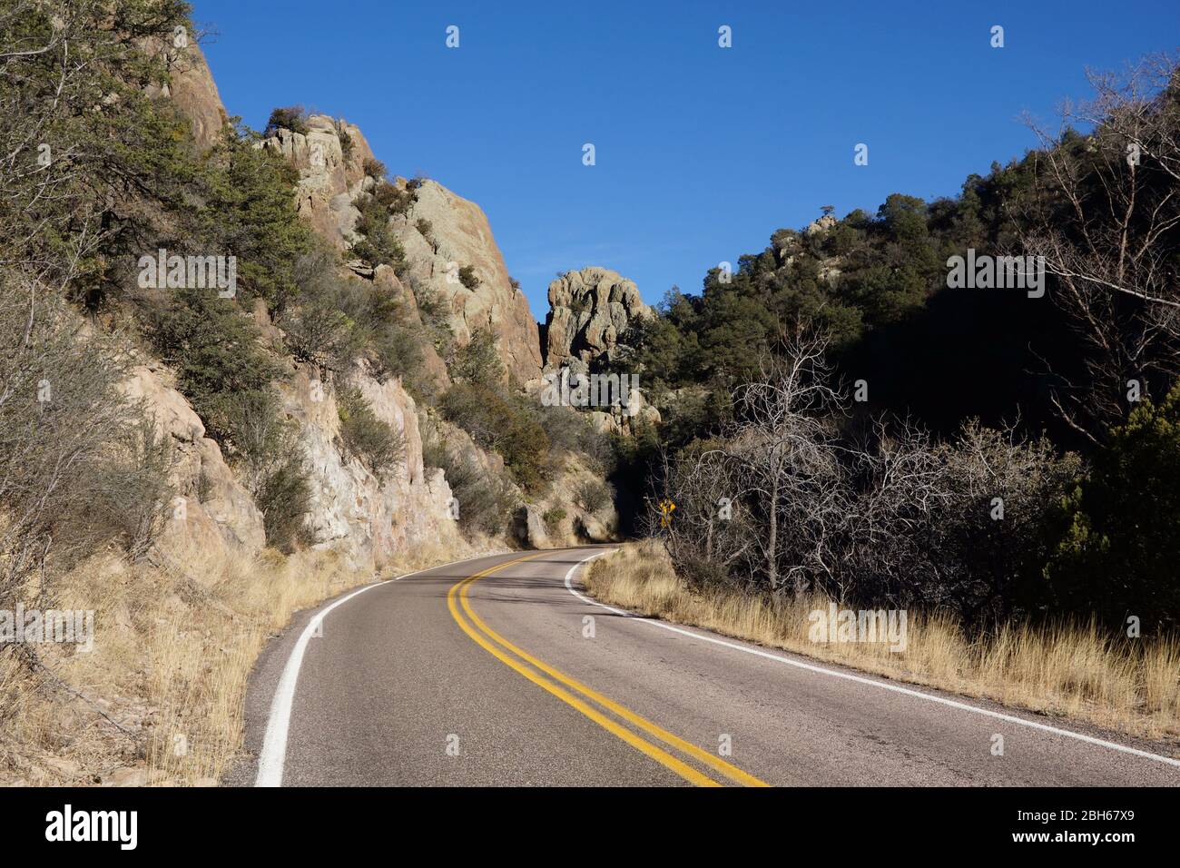 Gila National Forest in New Mexico Stock Photo - Alamy