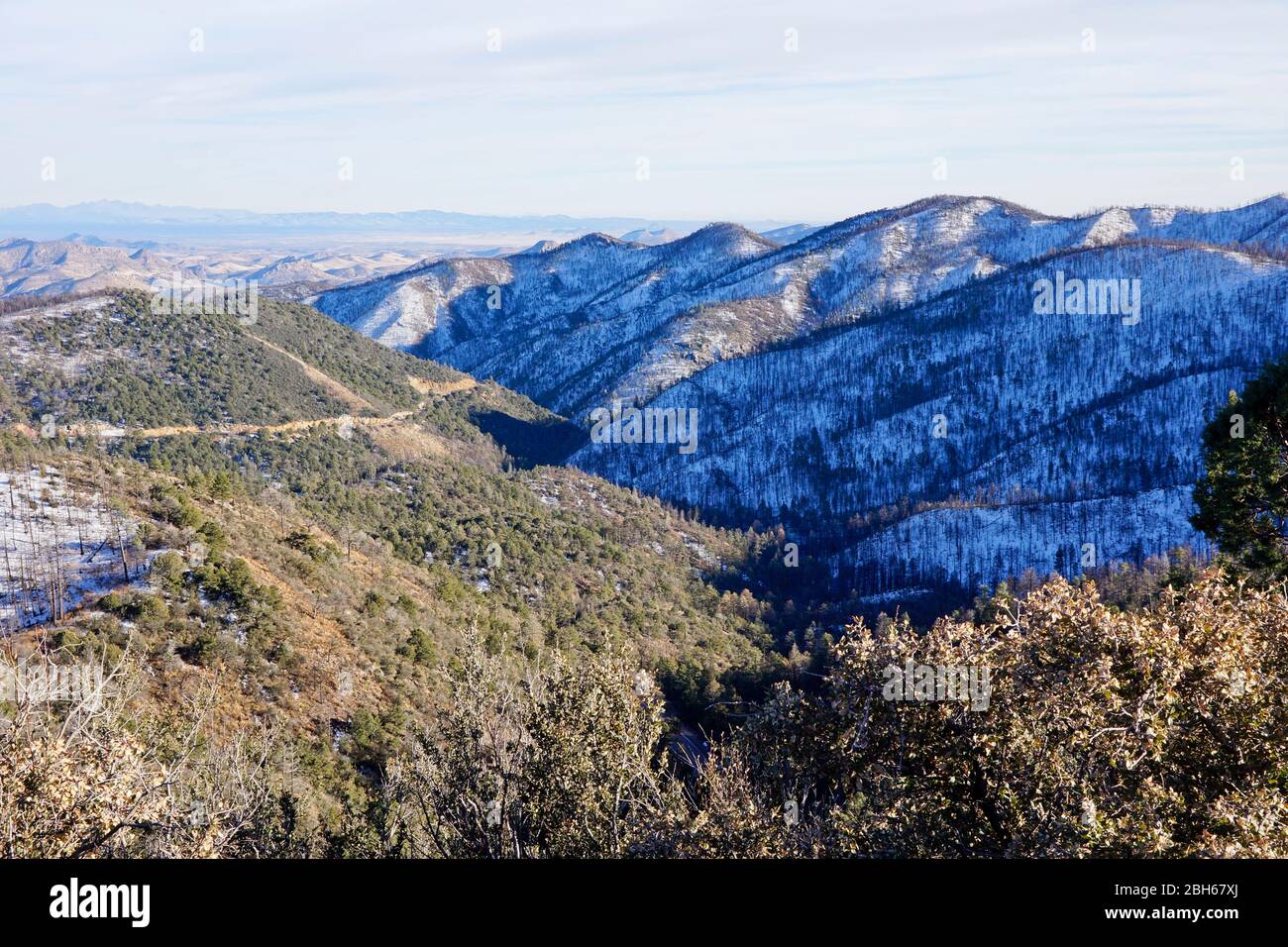 Gila National Forest in New Mexico Stock Photo - Alamy