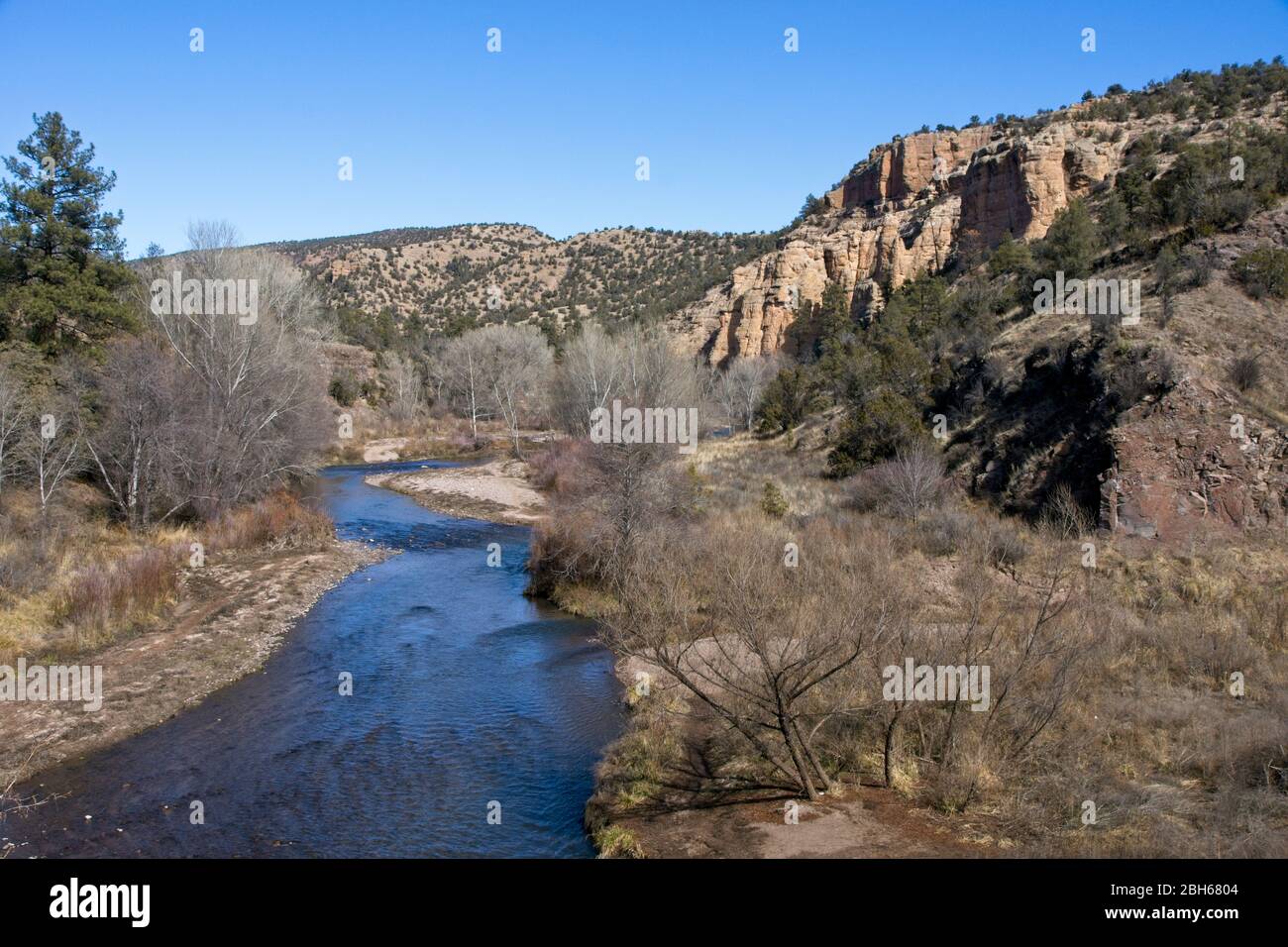 Gila River in Gila National Forest in New Mexico Stock Photo - Alamy