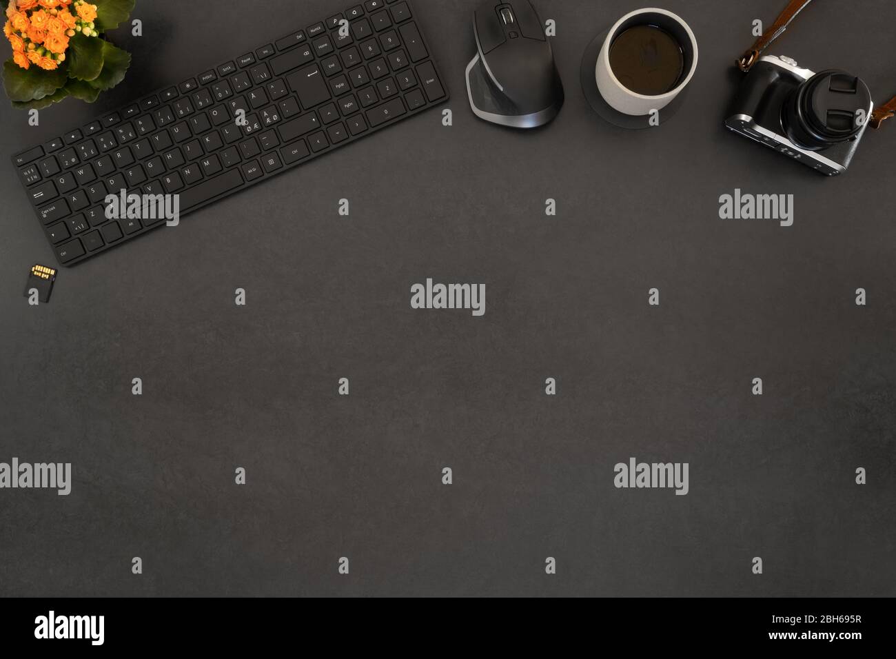 Mouse parts hi-res stock photography and images - Alamy