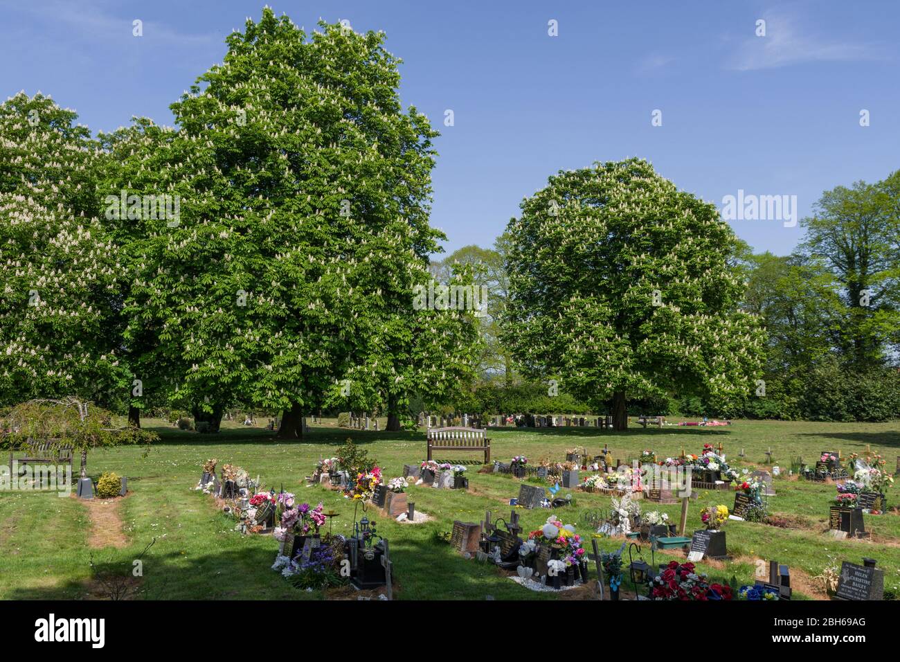 Towcester spring hi-res stock photography and images - Alamy