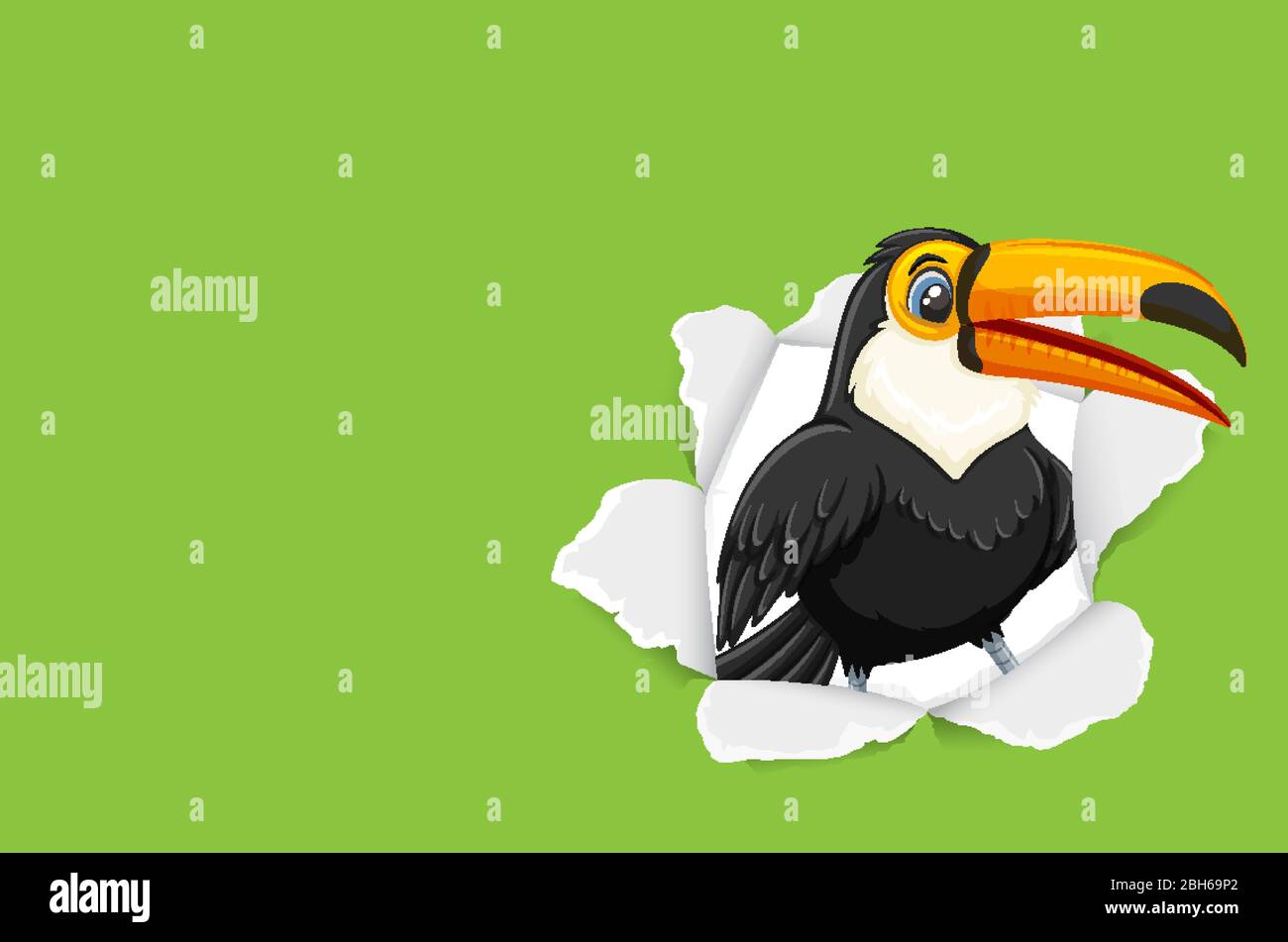 Background template design with wild toucan bird illustration Stock ...
