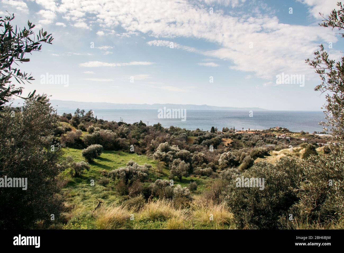 Spring in Pomos Village, Paphos, Cyprus Stock Photo - Alamy