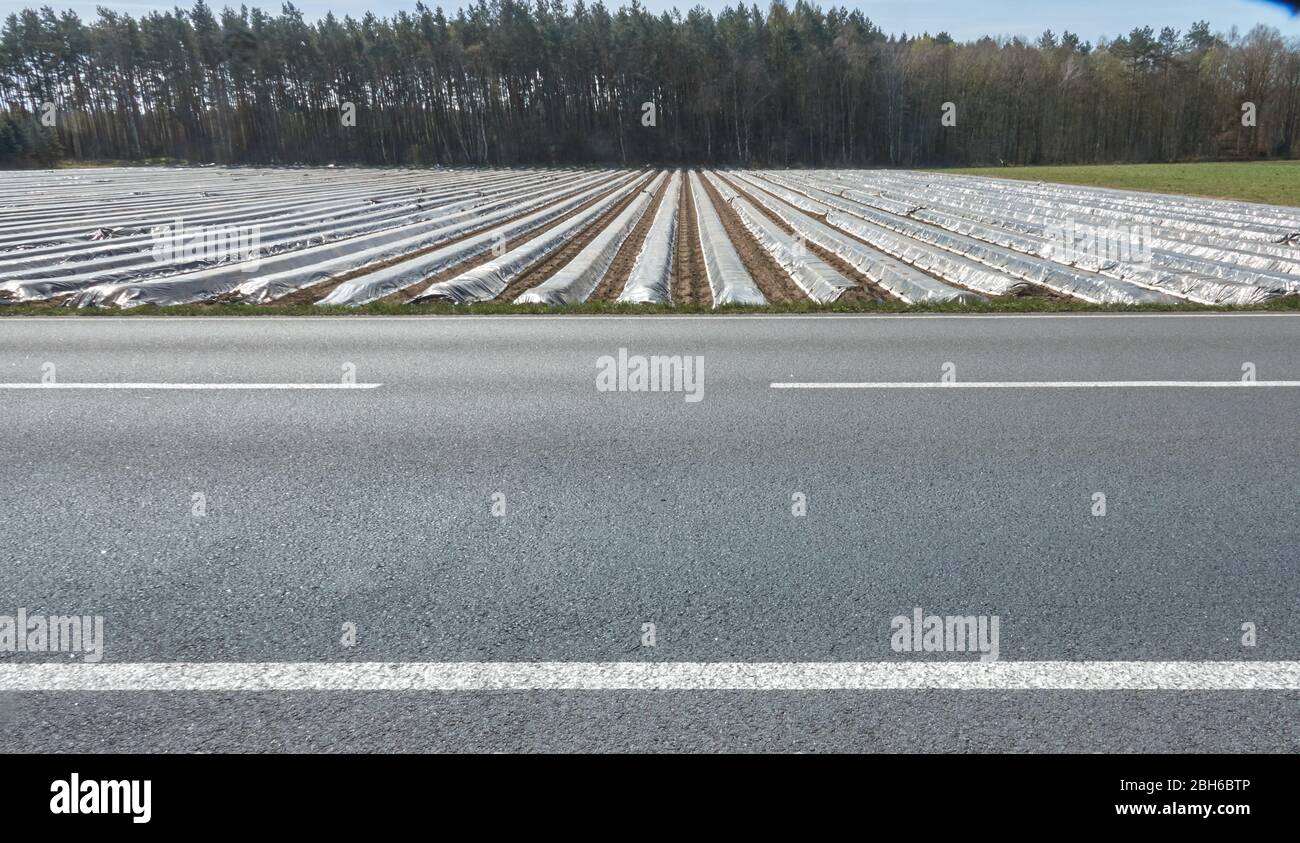 Grey asphalt tape hi-res stock photography and images - Alamy