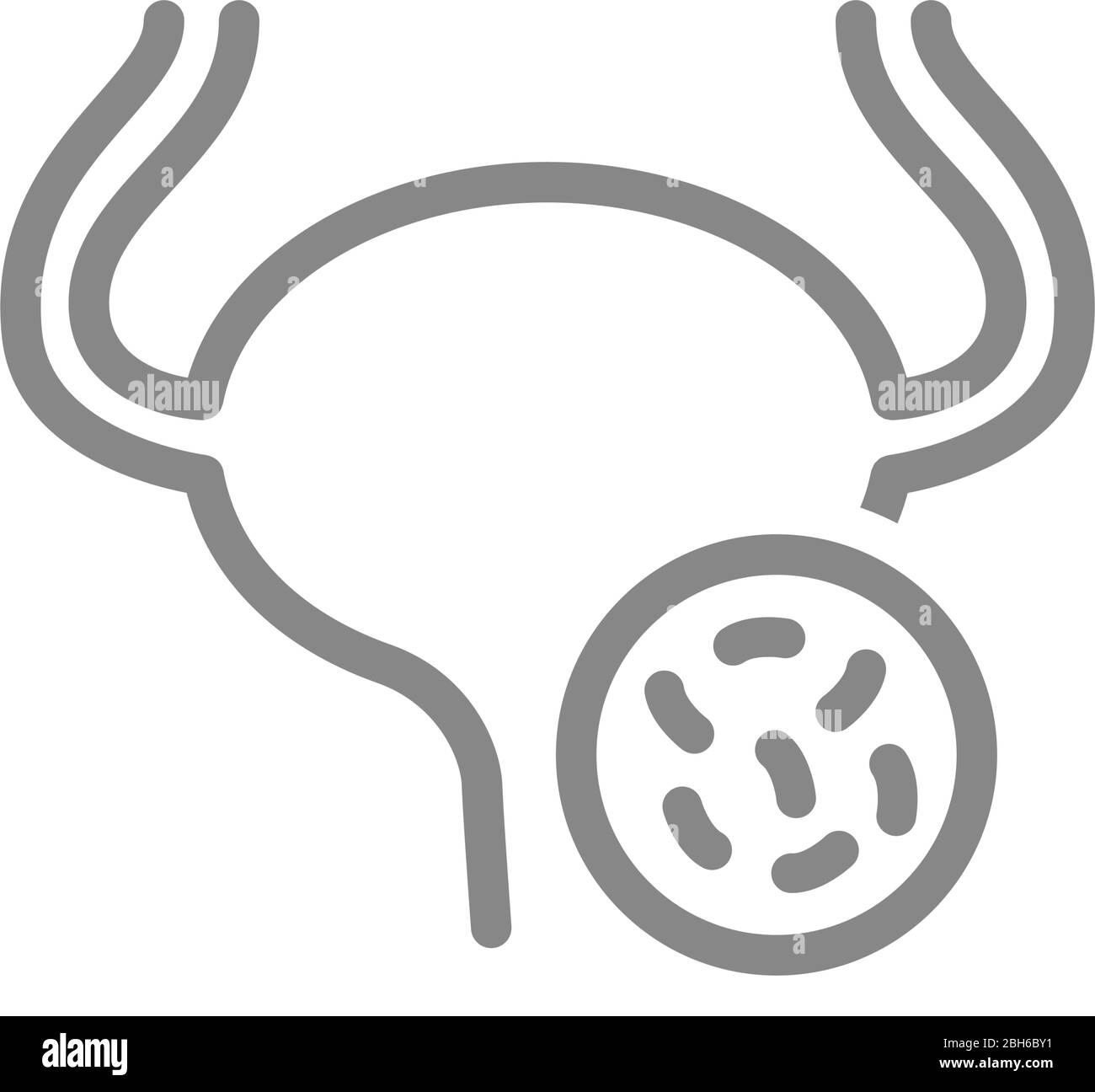 Urinary bladder with bacteria line icon. Disease internal organ ...