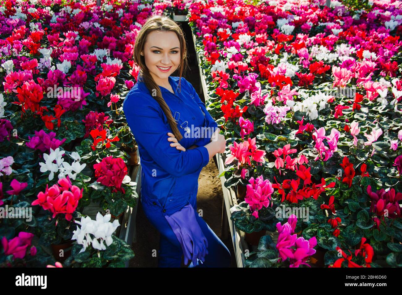 Woman horticultural worker, while standing in greenhouse with many ...