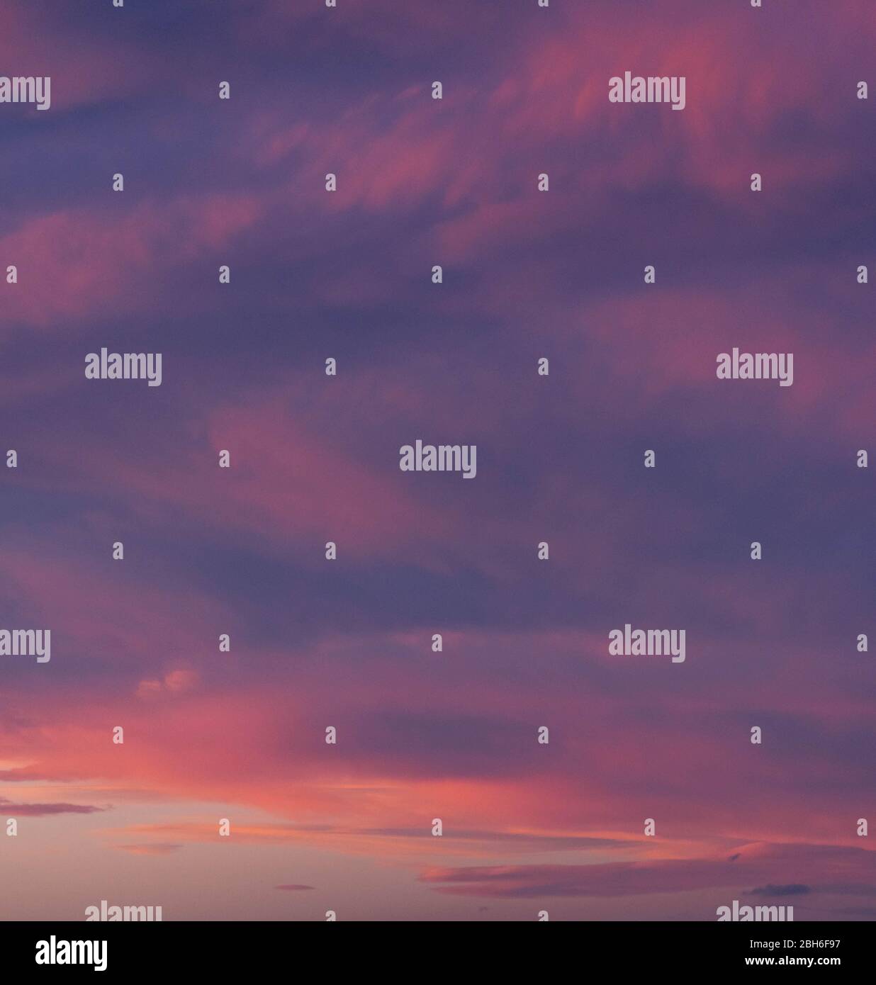 Dramatic purple and blue sky and clouds.Warm weather background.Art ...