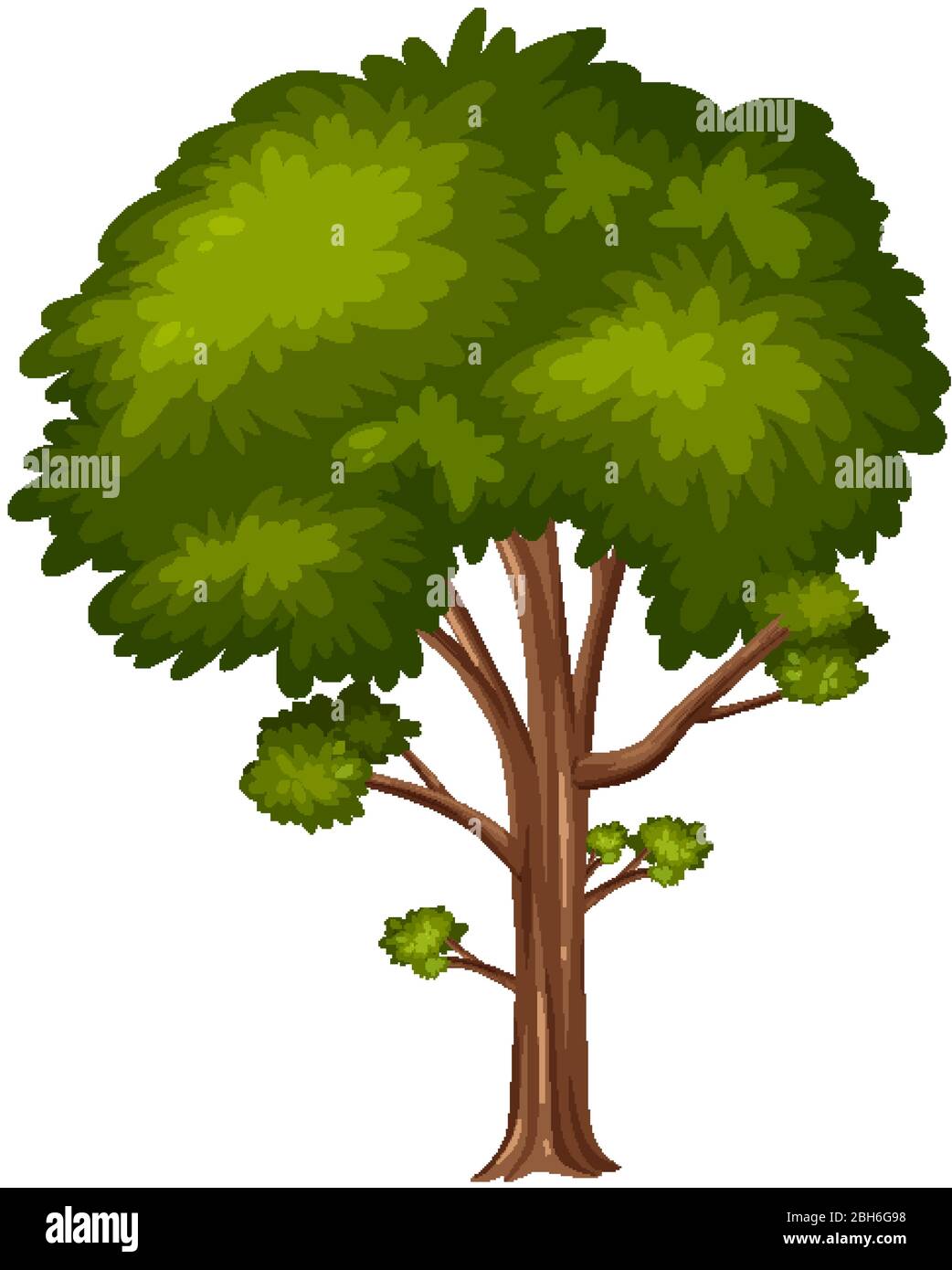 One big tree on white background illustration Stock Vector Image & Art ...