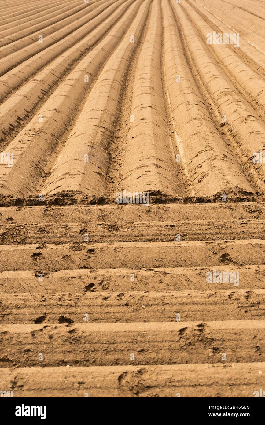 Tillage soil pattern hi-res stock photography and images - Alamy