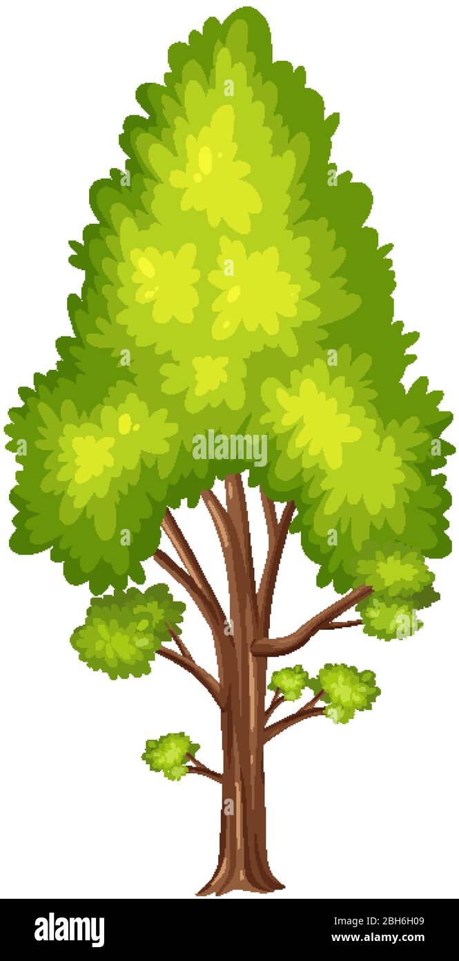 One big tree on white background illustration Stock Vector Image & Art ...