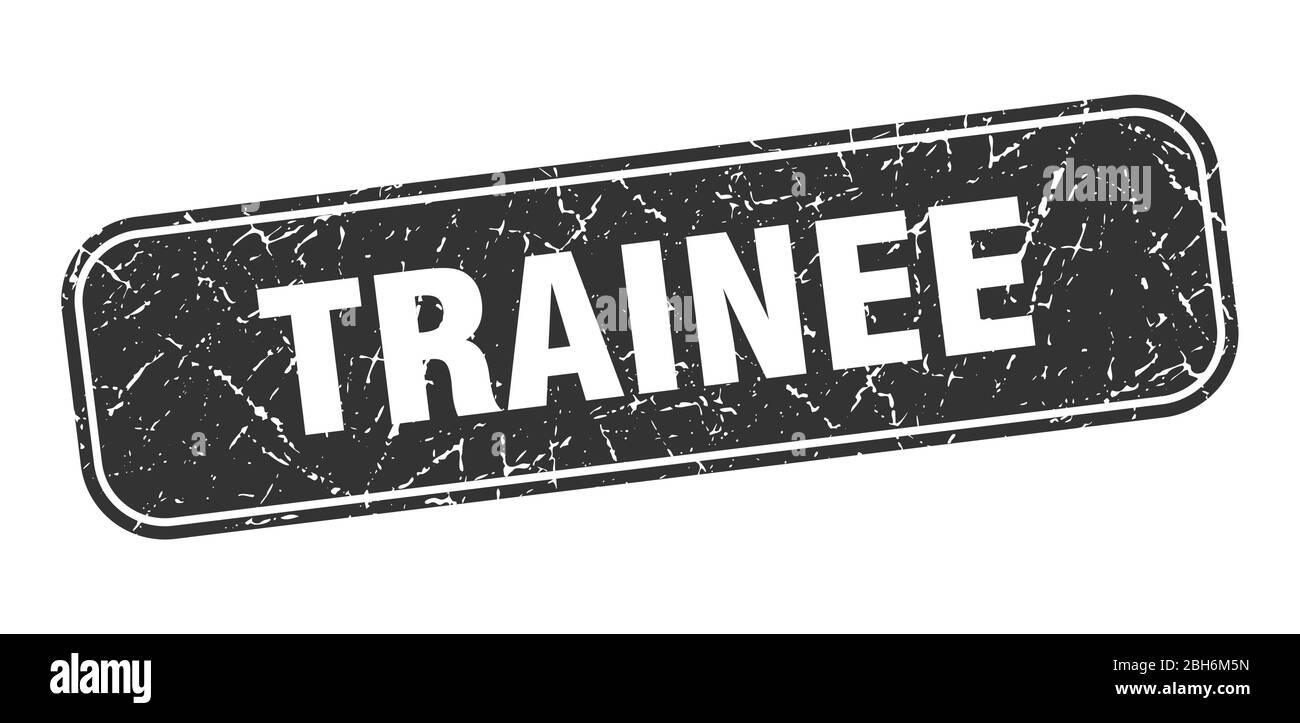 trainee stamp. trainee square grungy black sign Stock Vector Image ...