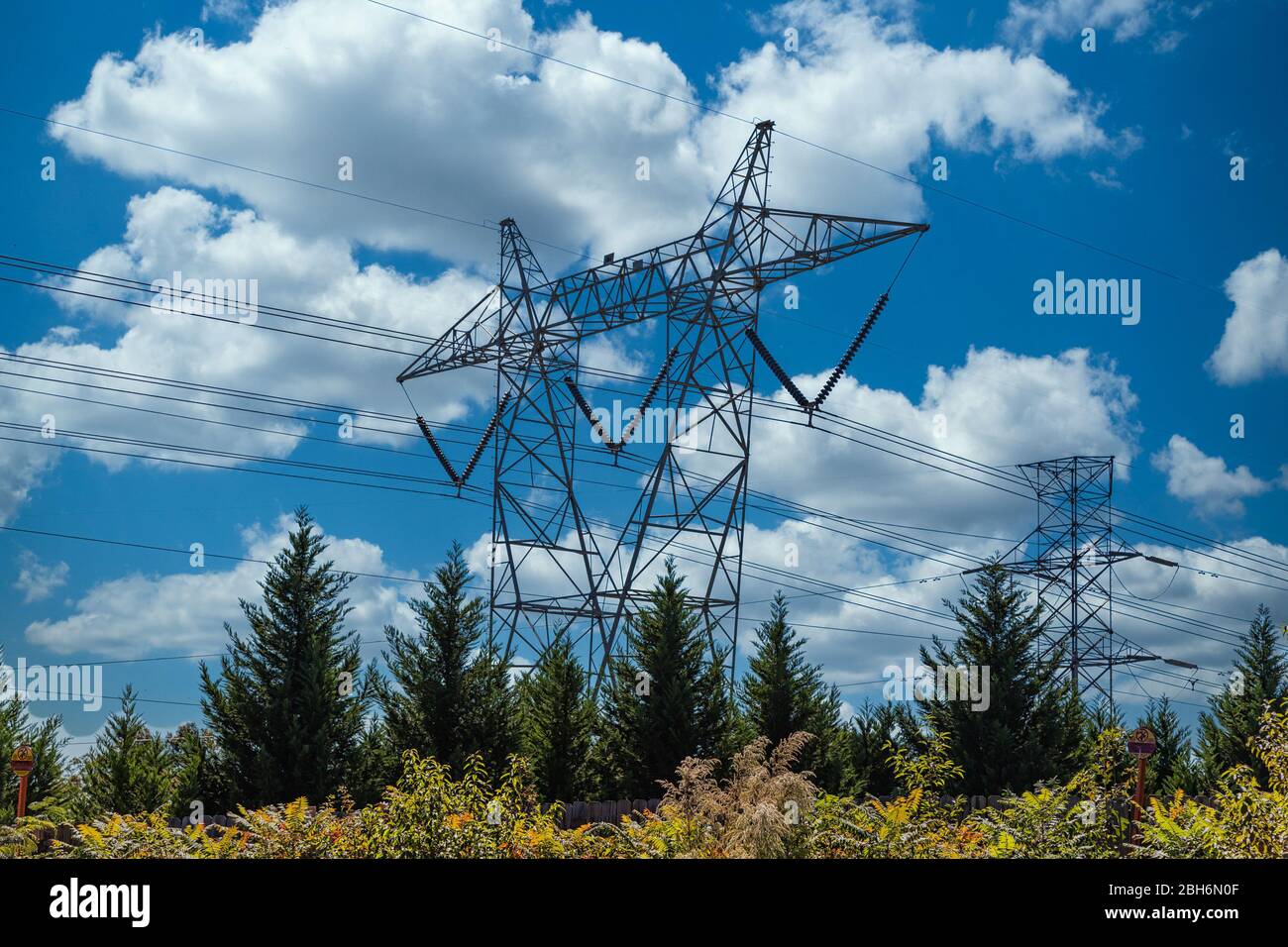 High Power Lines Over Trees Stock Photo - Alamy