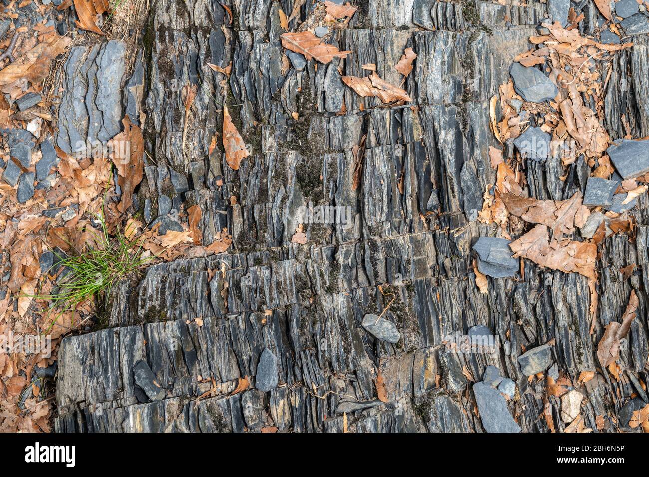 Natural Layered stone texture. Rock texture. Cliff surface. Layered ...