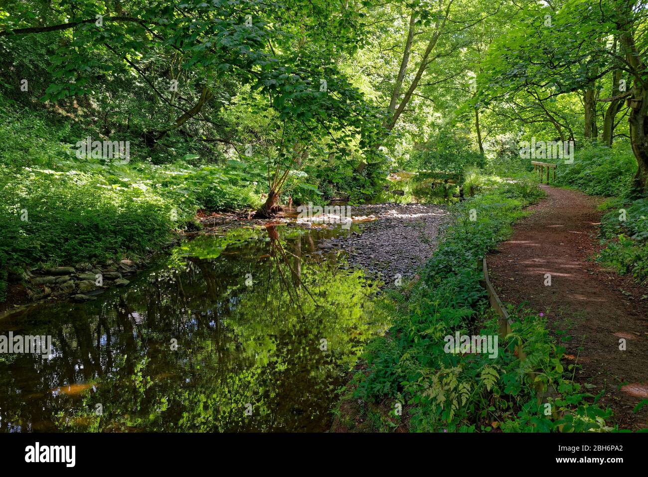A small river wends its way gently down Panbride Den with the curving ...