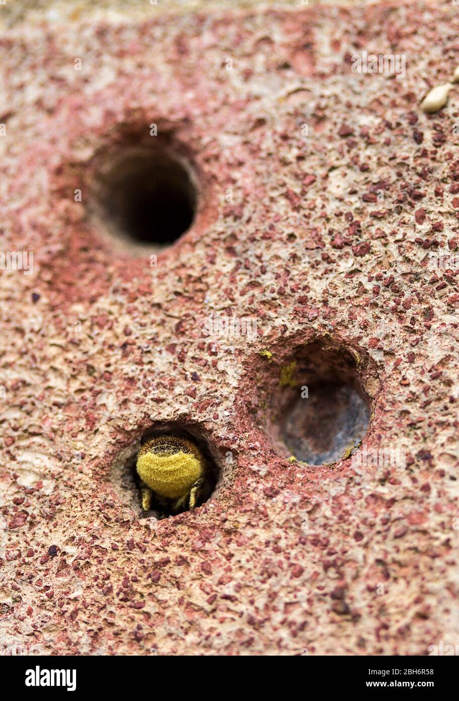 Bricks With Holes High Resolution Stock Photography and Images - Alamy