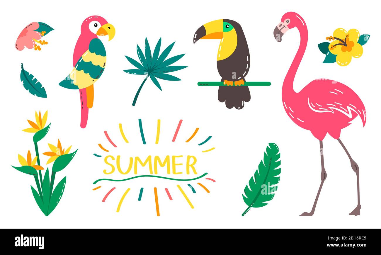 Set of cute summer icons: palm leaves, tropical plants, toucan, parrot ...