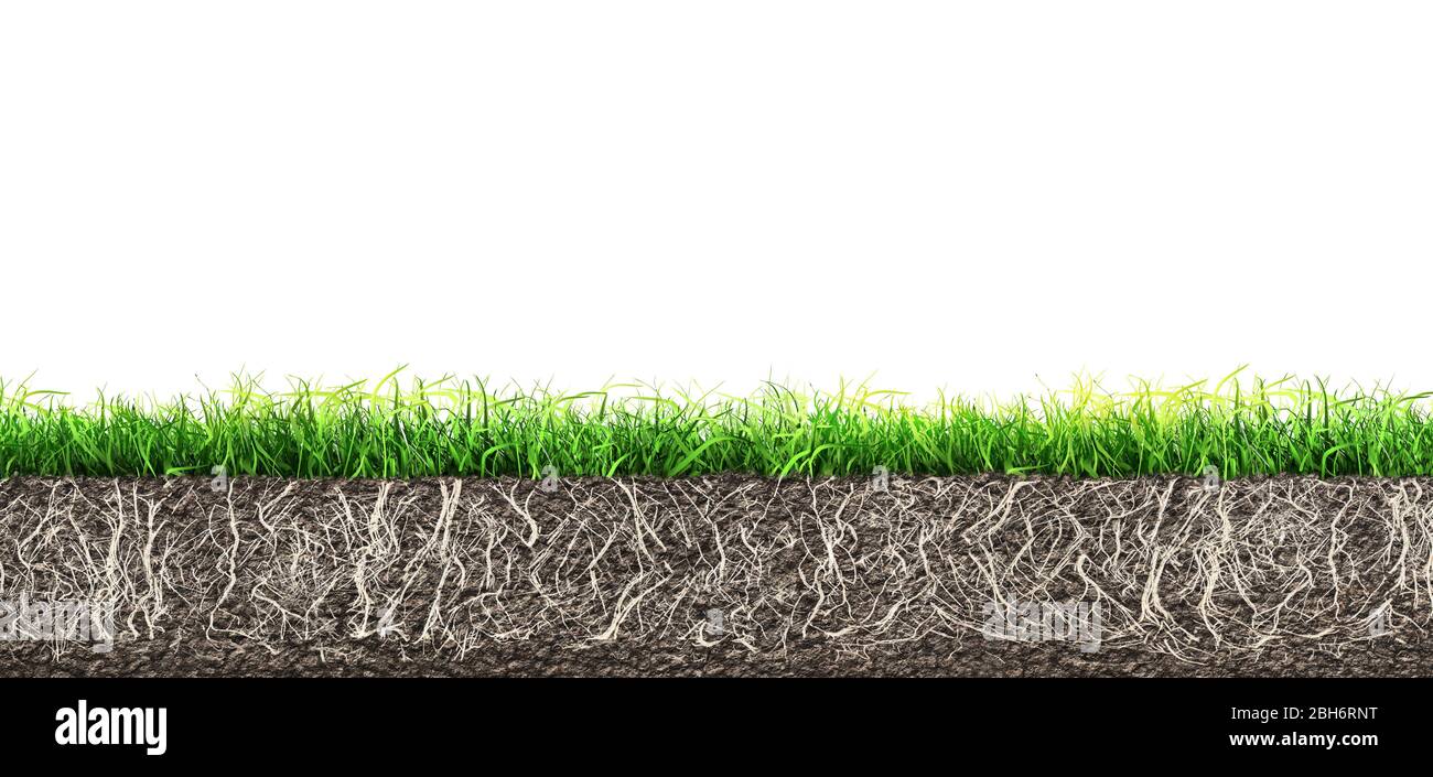 Soil with roots hi-res stock photography and images - Alamy