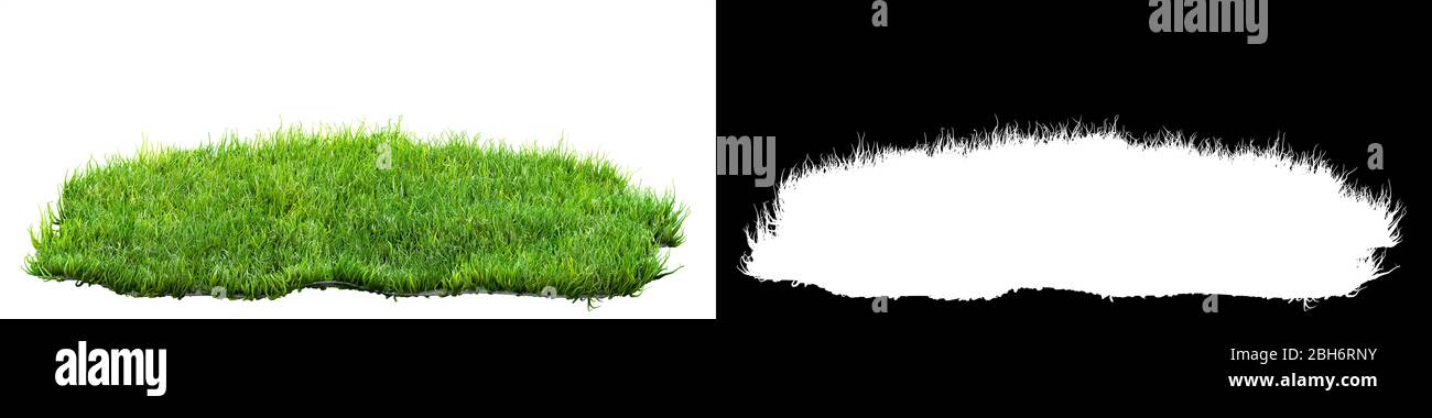 green grass turf isolated on white background with alpha mask for easy ...