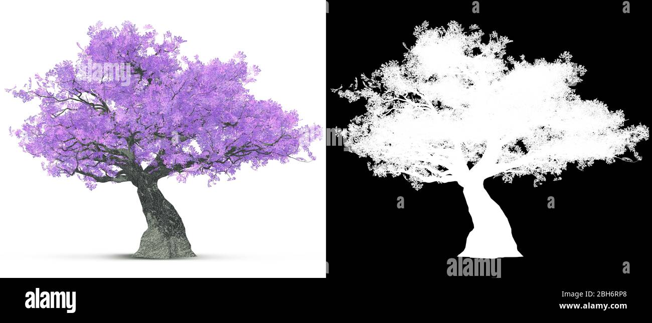 Tree alpha mask hi-res stock photography and images - Alamy