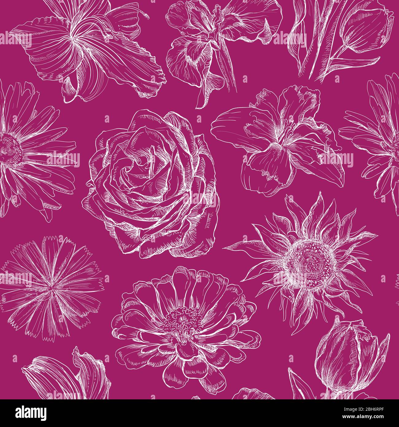 Seamless rose pattern sketch Stock Vector Images - Alamy