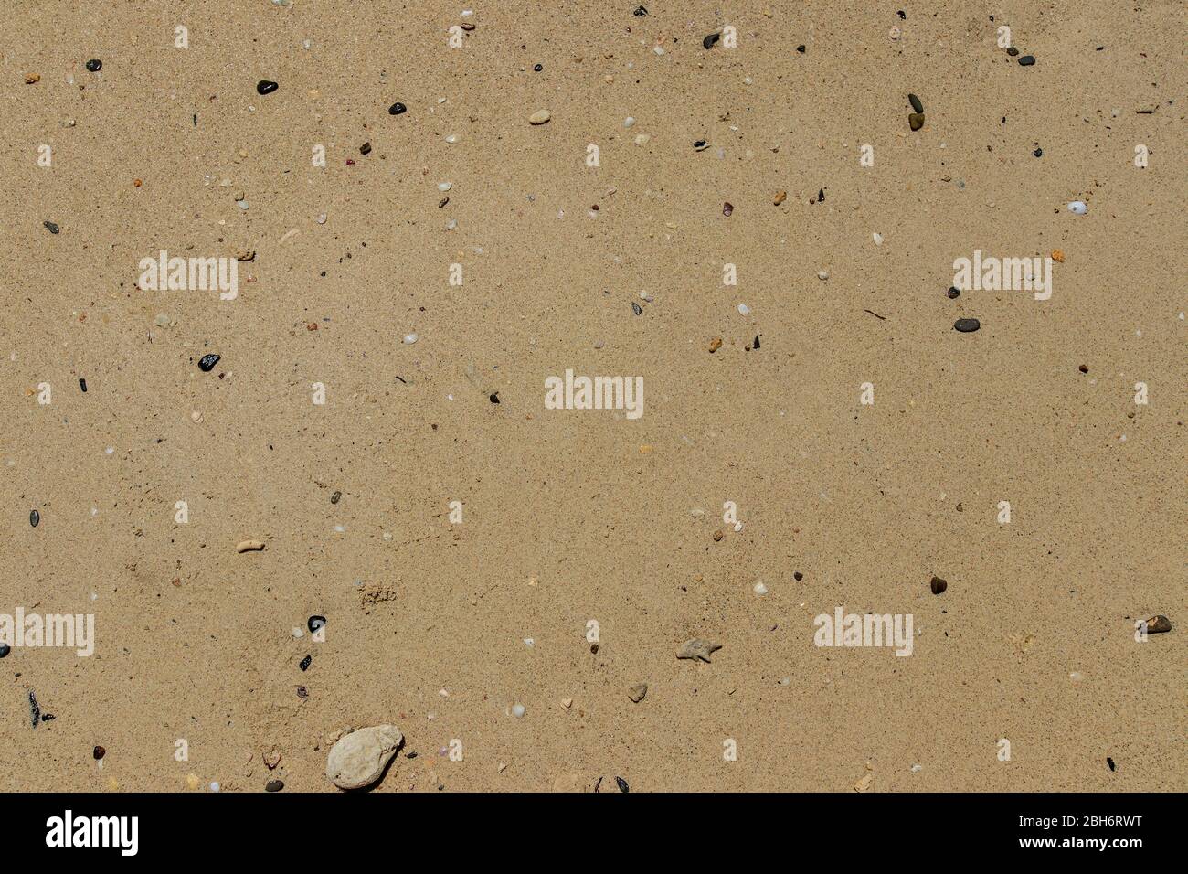 Sandy beach with stones. Detailed sand texture. Background for design ...