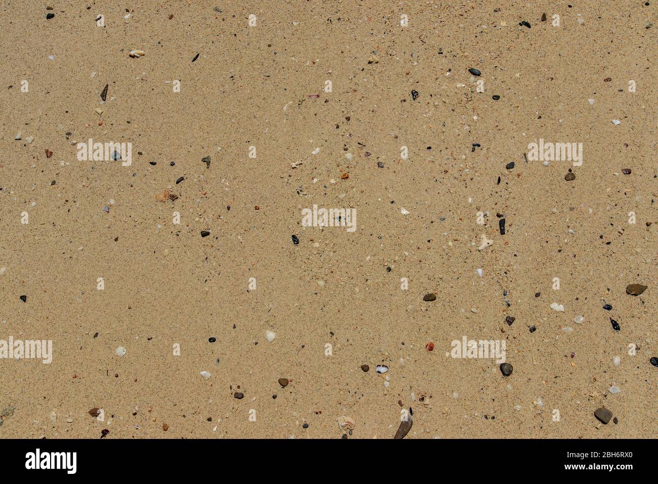 Sandy beach with stones. Detailed sand texture. Background for design ...