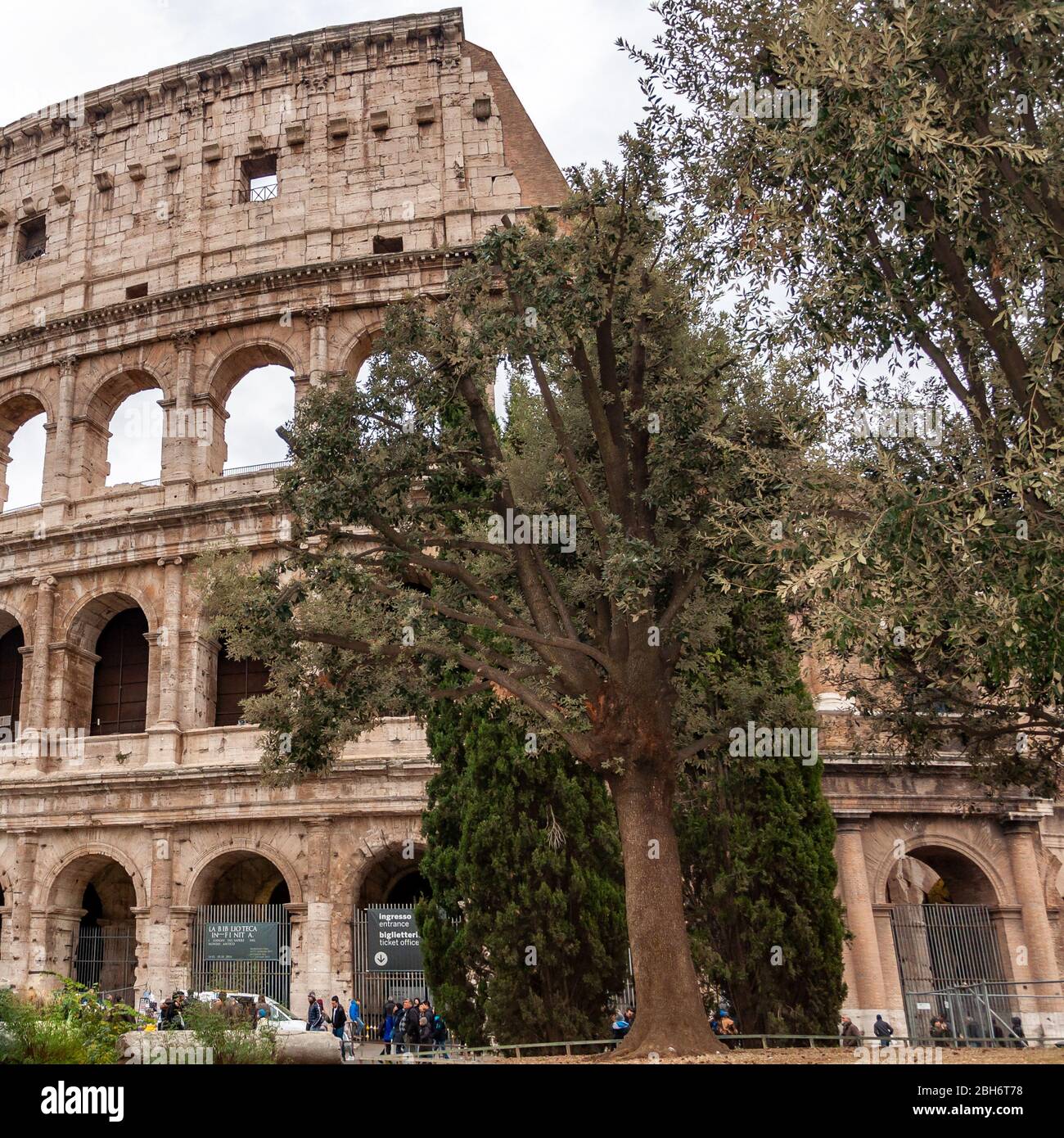 Rome Italy. Exterior of the Colosseum, famous for shows with gladiators ...
