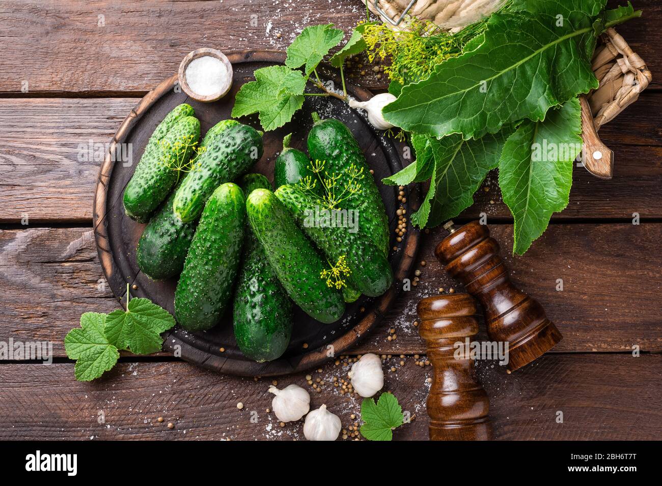 Fermenting cucumbers, cooking recipe salted or marinated pickles with ...