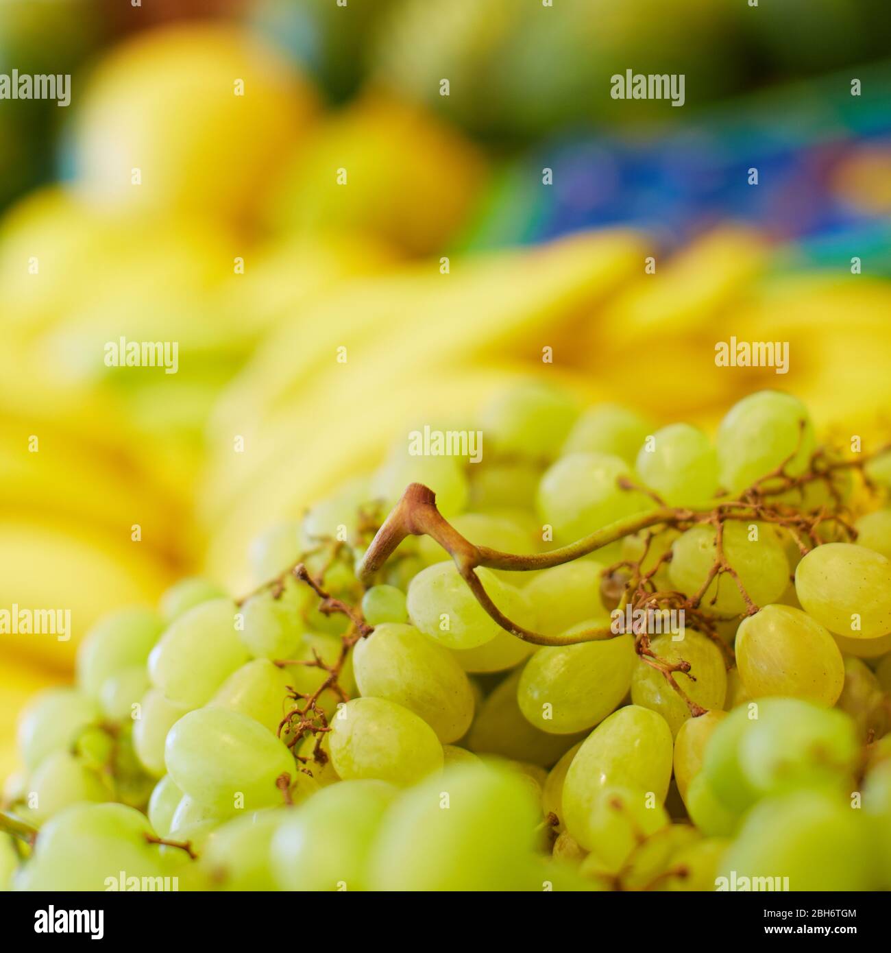 Lots of grape hi-res stock photography and images - Alamy