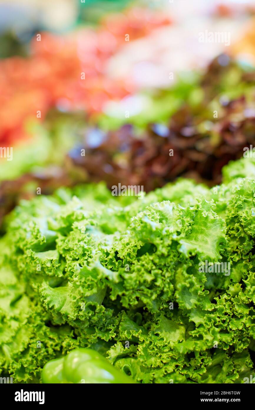 Lollo bionda hi-res stock photography and images - Alamy