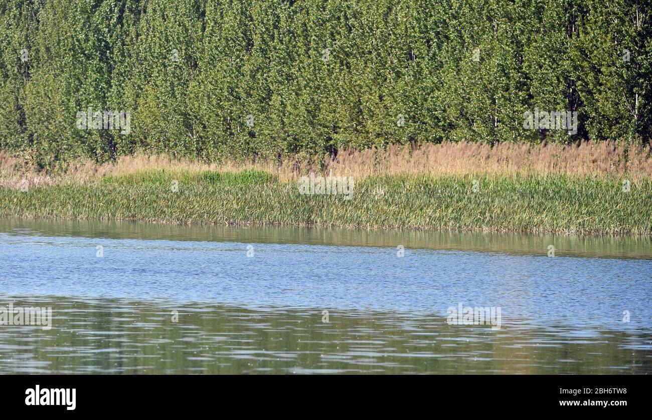 Qihe hi-res stock photography and images - Alamy