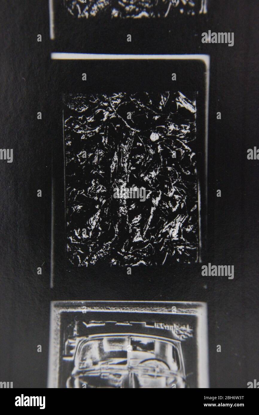 Fine 70s vintage extreme high contrast contact print photography of a ...