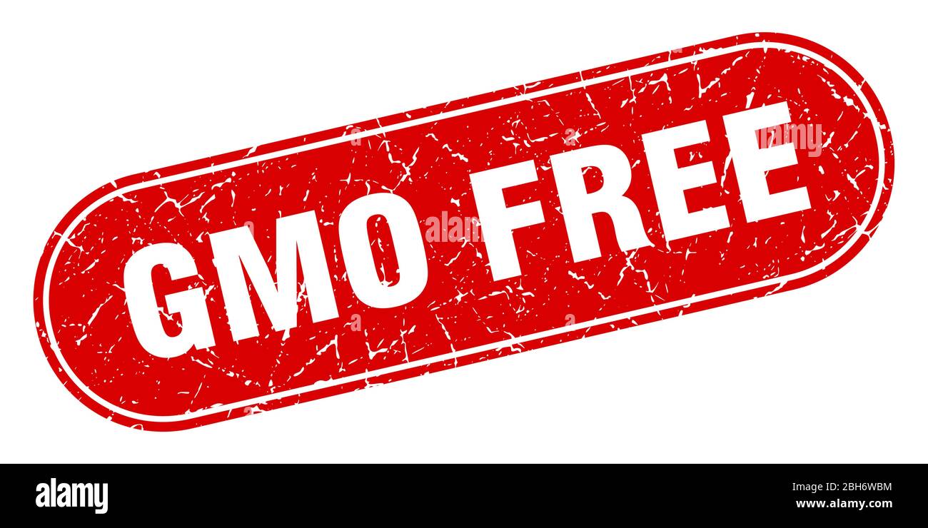 gmo free sign. gmo free grunge red stamp. Label Stock Vector Image ...