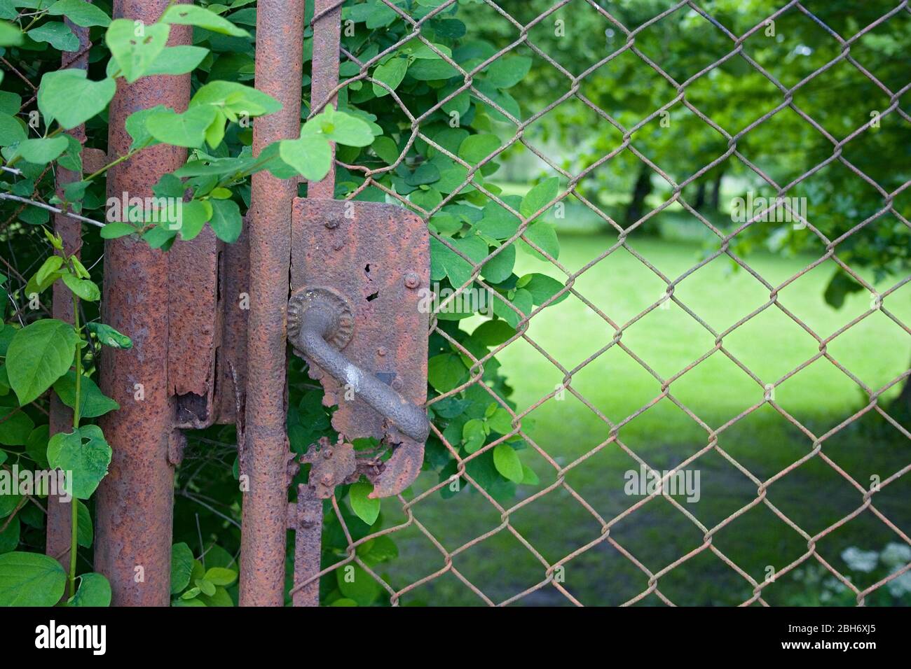rusty door in a garden Stock Photo - Alamy