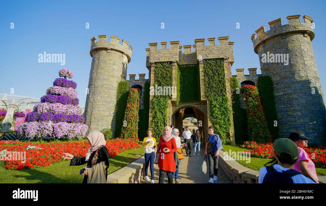 Dubai, UAE - December 14, 2019: Dubai Miracle Garden in the UAE. It has ...