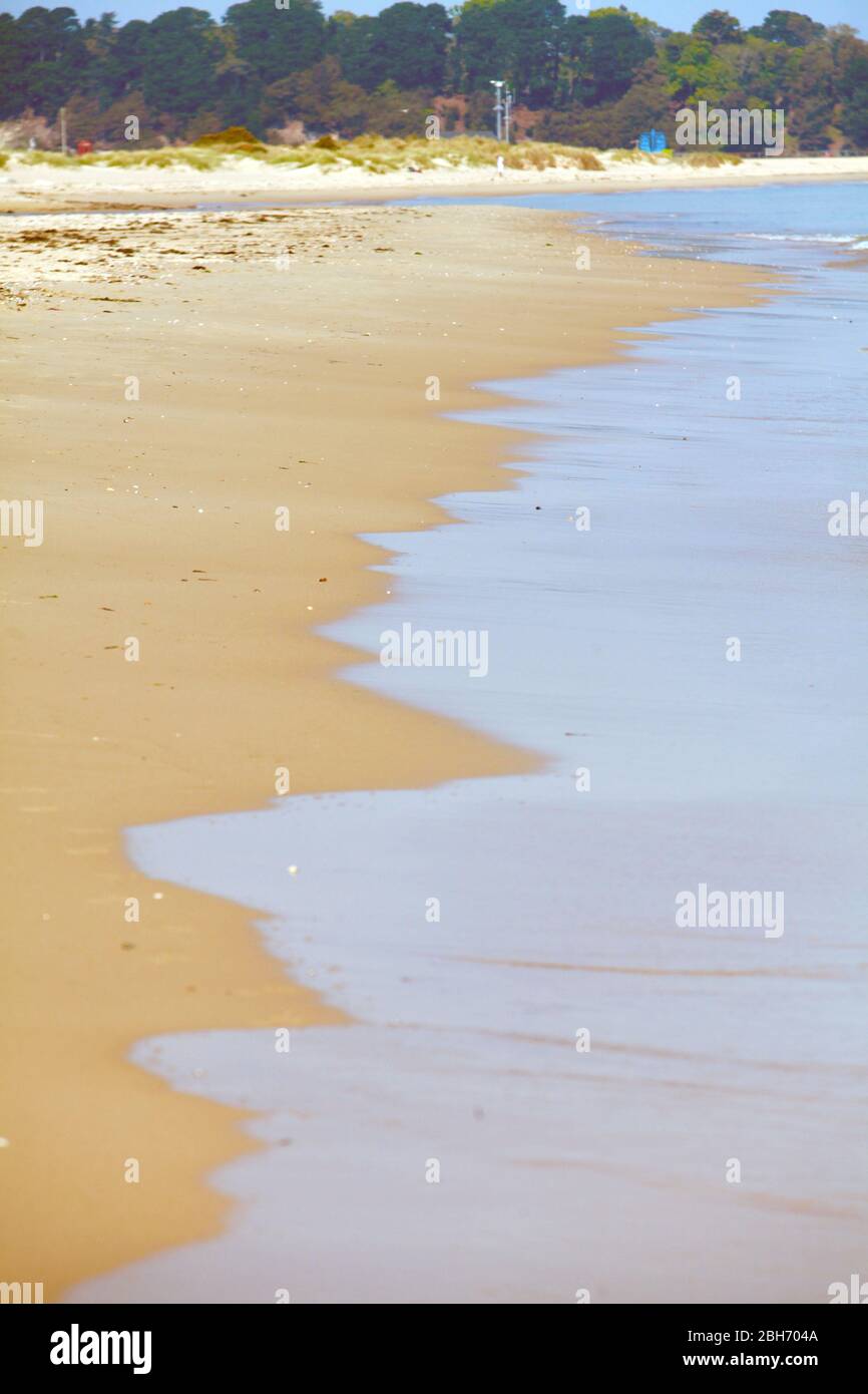 Shell bay dorset hi-res stock photography and images - Alamy