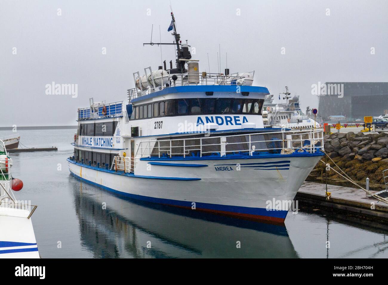 The 'Andrea' Whale watching tour boat moored in the harbour in ...