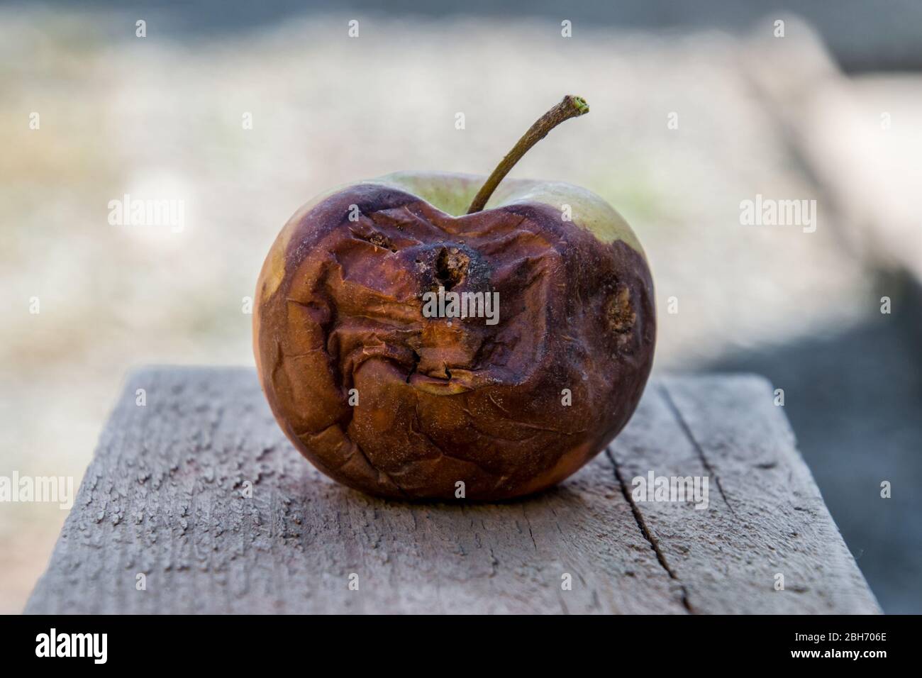 Rotten apple on the bench. Defeat apples. Spoiled crop Stock Photo - Alamy