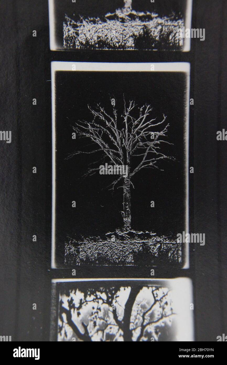 Fine 70s vintage extreme high contrast contact print photography Stock ...