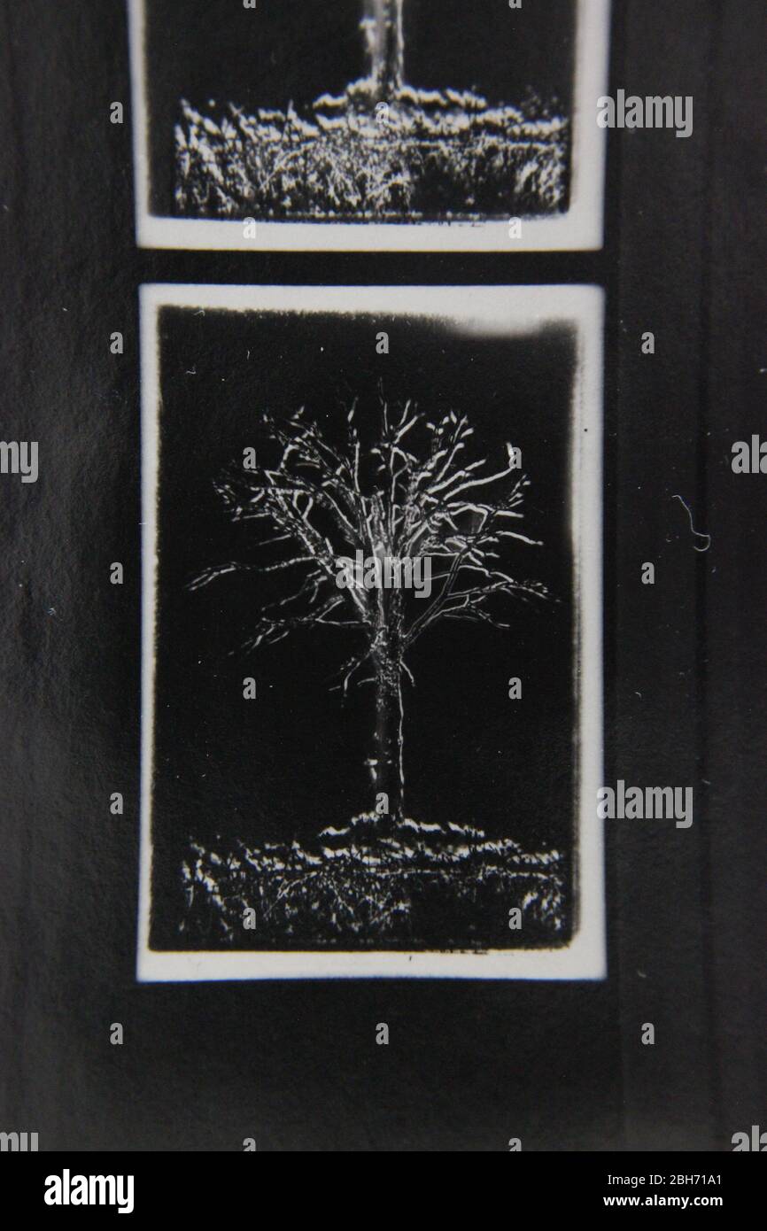 Fine 70s vintage extreme high contrast contact print photography Stock ...