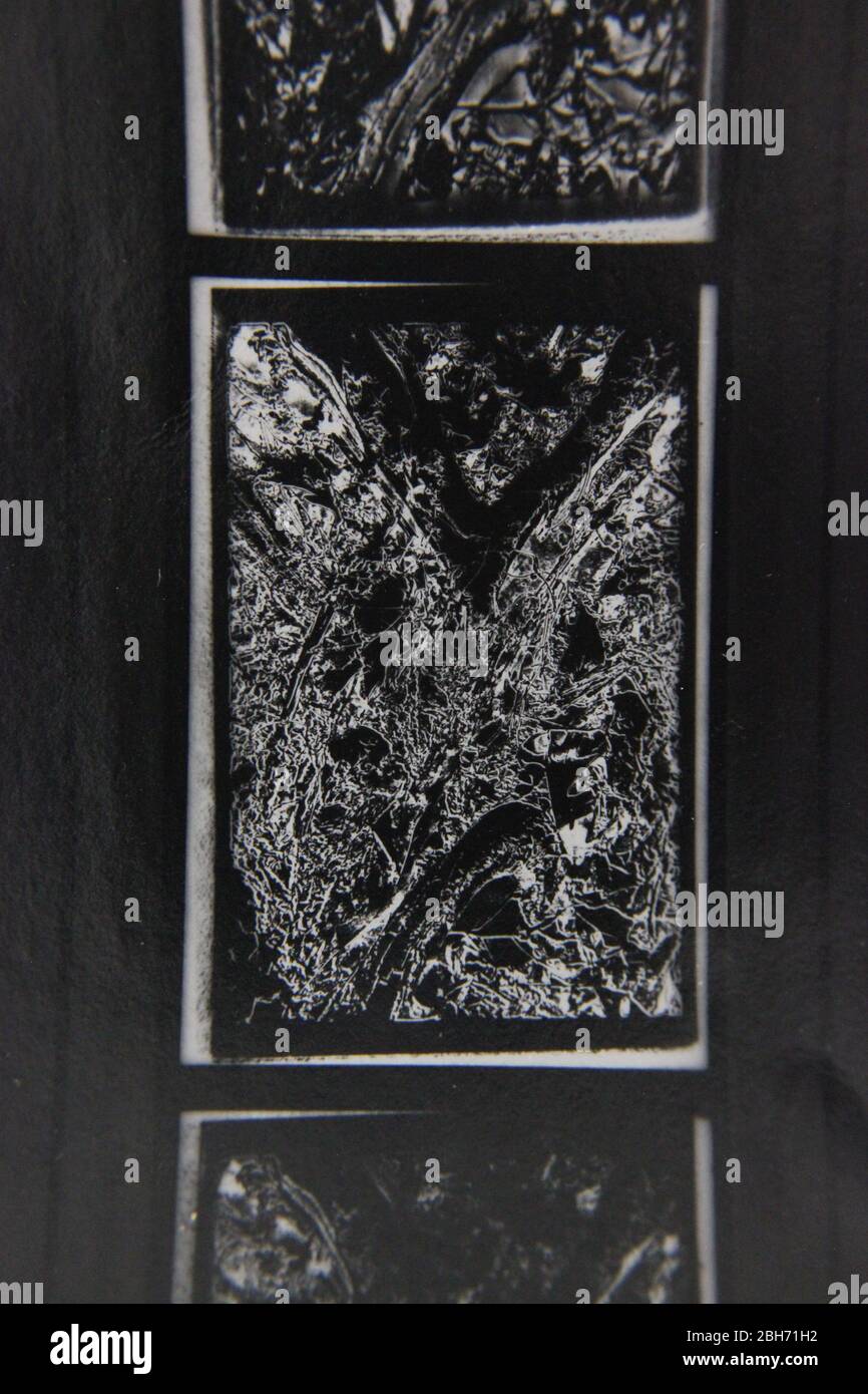 Fine 70s vintage extreme high contrast contact print photography of a ...