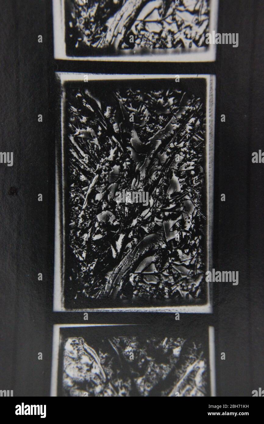 Fine 70s vintage extreme high contrast contact print photography of a ...