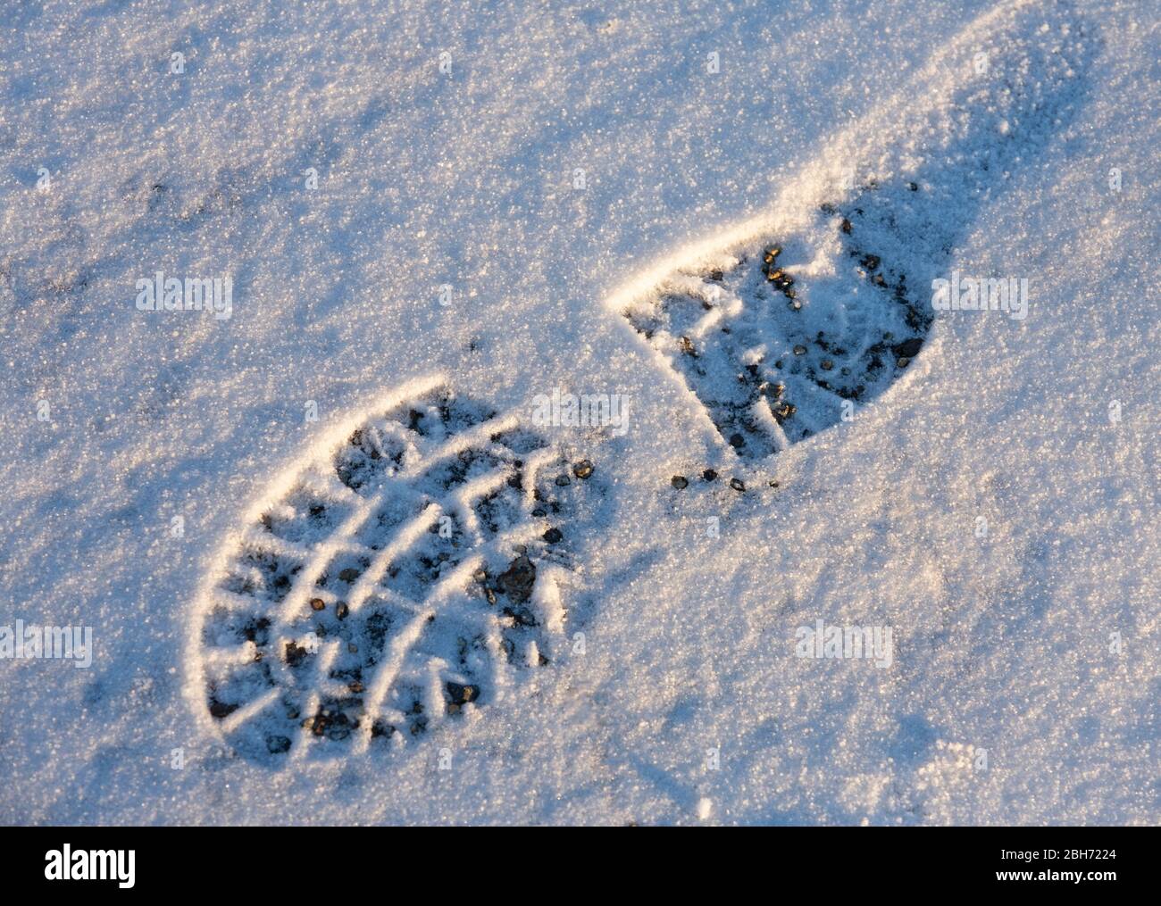 Shoe print footprint hi-res stock photography and images - Alamy